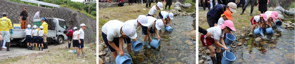 鮎の放流 – 神河町立長谷小学校